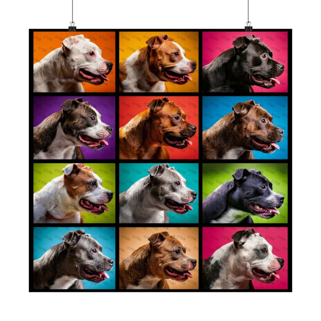 Stafford colors head study Matte Posters - The Stafford Knot